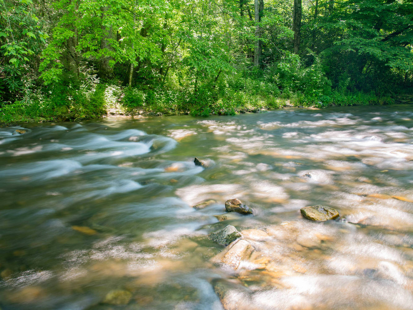 The Farm At Mills River - Our Location